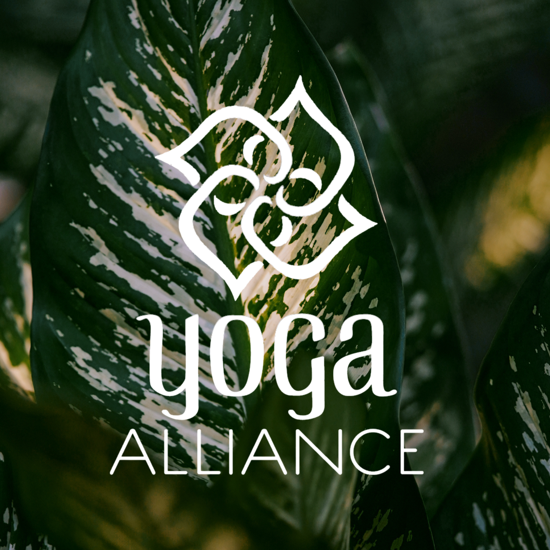 Sama Yoga House - Yoga Teacher Training and Retreat